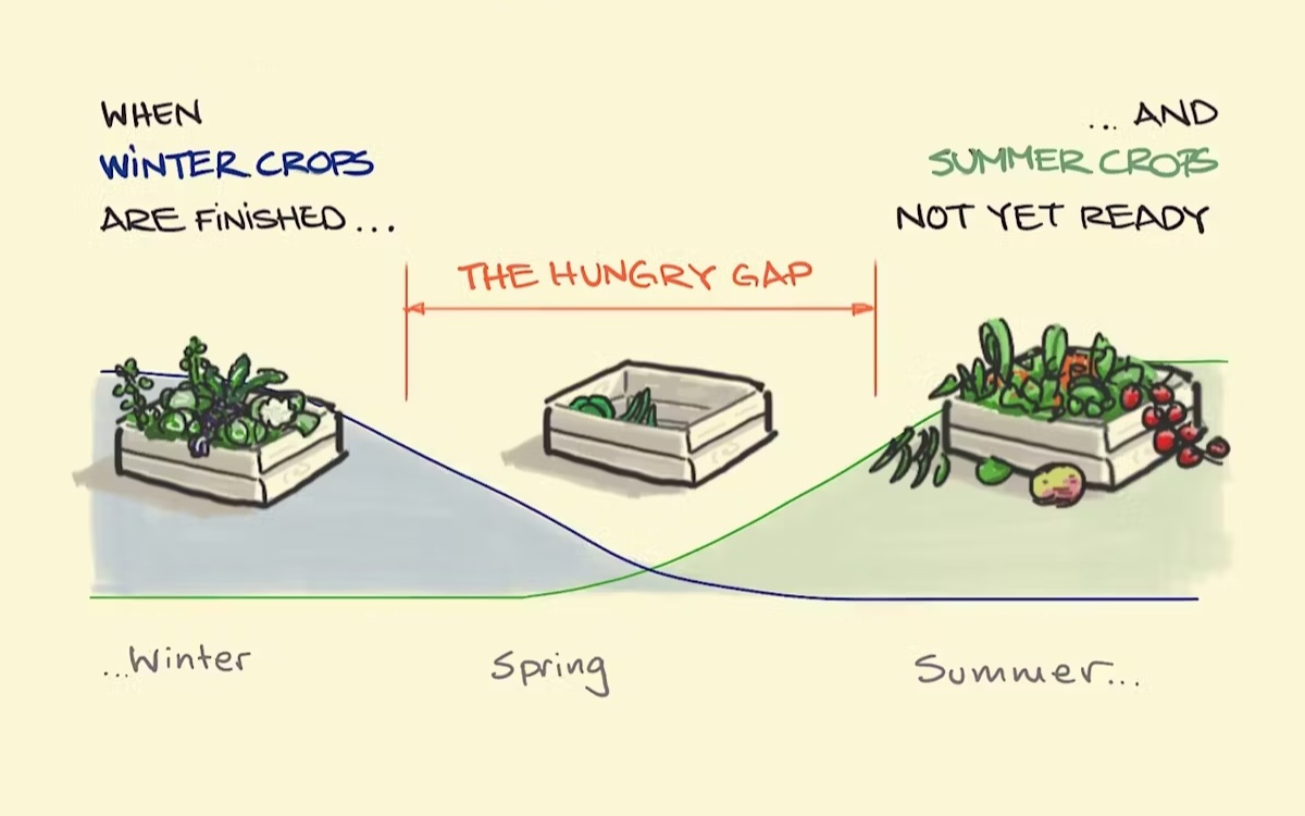 Navigating the Hunger Gap: Your Guide to Local Food in Spring — Bliss Blog