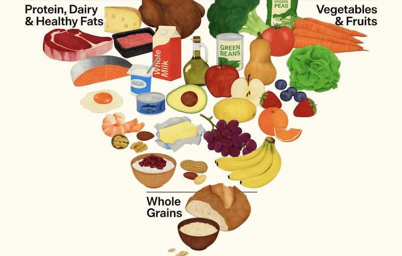 USDA turns food pyramid upside down while NZ pushes for gene editing ...